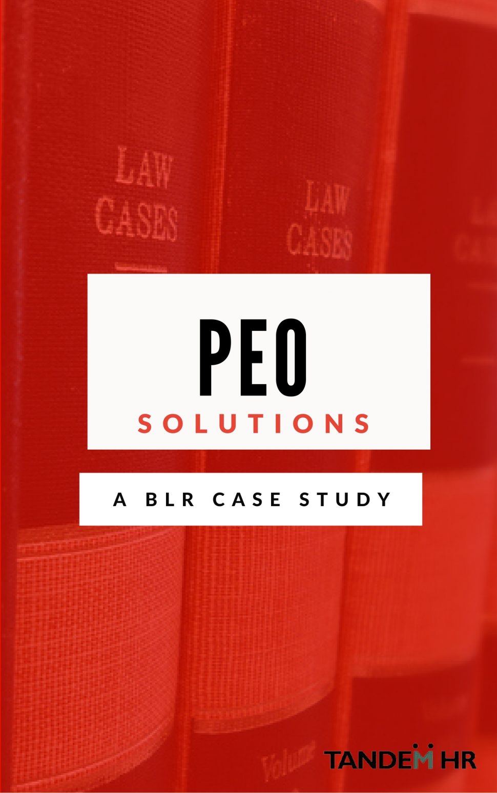 BLR PEO解决方案案例研究 - HR日常顾问