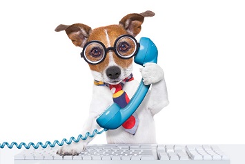 3 Lessons in Effective Customer Service—From Your Dog - Customer ...